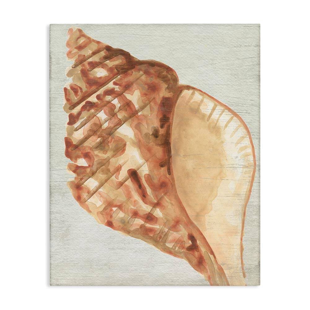 Stupell Industries Tan Conch Shell by June Erica Vess Unframed Coastal ...