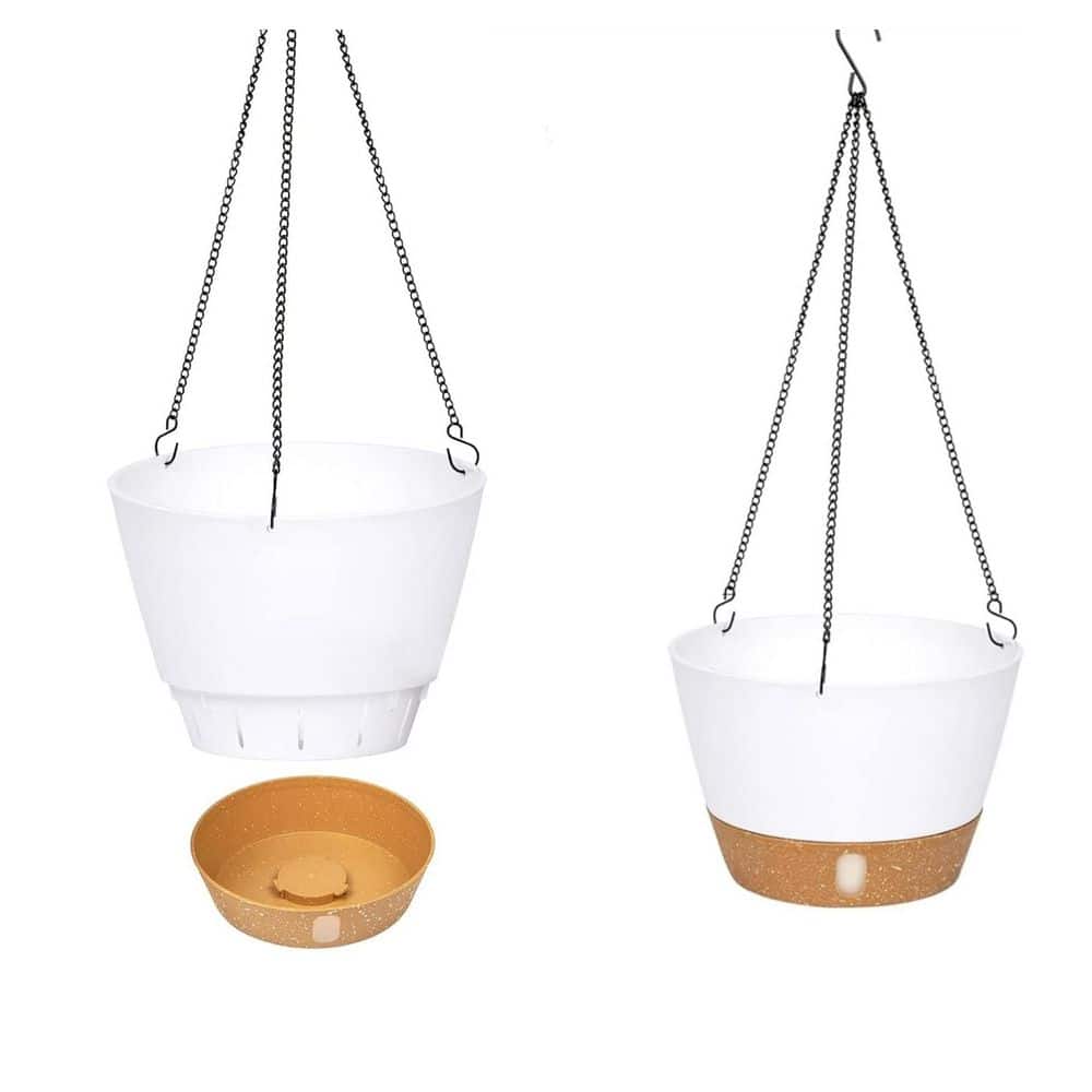 Home Depot Hanging Plants