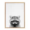 Kate and Laurel 24 in. x 18 in. "Raccoon" by Tai Prints Framed Canvas ...