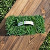 Sod Pods Zoysia Grass Sod Plugs (32-Count) Natural, Affordable Lawn ...
