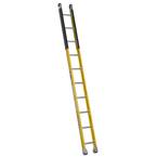 Werner 10 ft. Fiberglass D-Rung Straight Ladder with 300 lb. Load ...