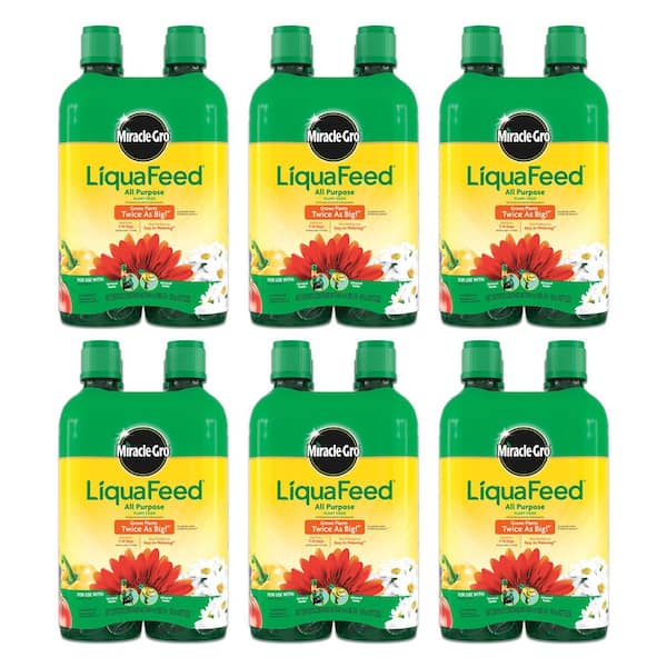 Miracle-Gro Shake 'N Feed Palm Plant Food 8 lbs. For Container and In ...