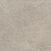 EMSER TILE Realm Ii Nation 12.99 in. x 12.99 in. Matte Porcelain Stone ...