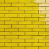 Ivy Hill Tile Orion Yellow 1.96 in. x 7.87 in. Glazed Terracotta Clay ...