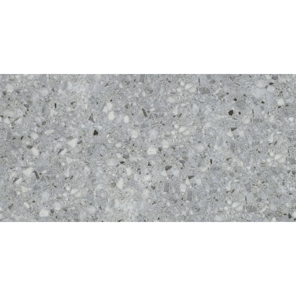EMSER TILE Fragmento Silver 12 in. x 24 in. Matte Porcelain Floor and ...