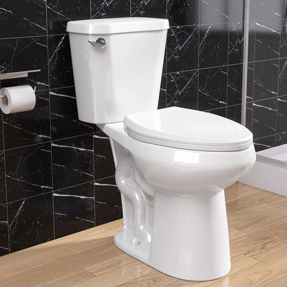 NTQ 12 in. Rough-in 2-Piece Toilets 1.28 GPF Single Flush Elongated 21 ...