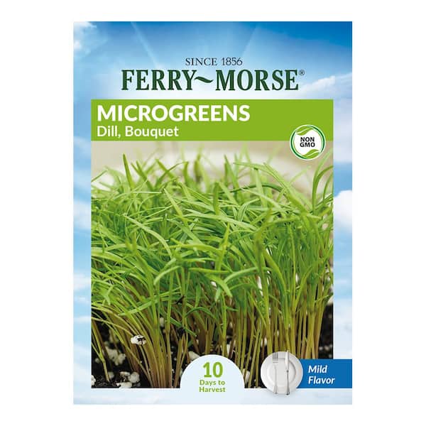 Ferry-Morse Dill Bouquet Micro-greens Herb Seeds 4073 - The Home Depot