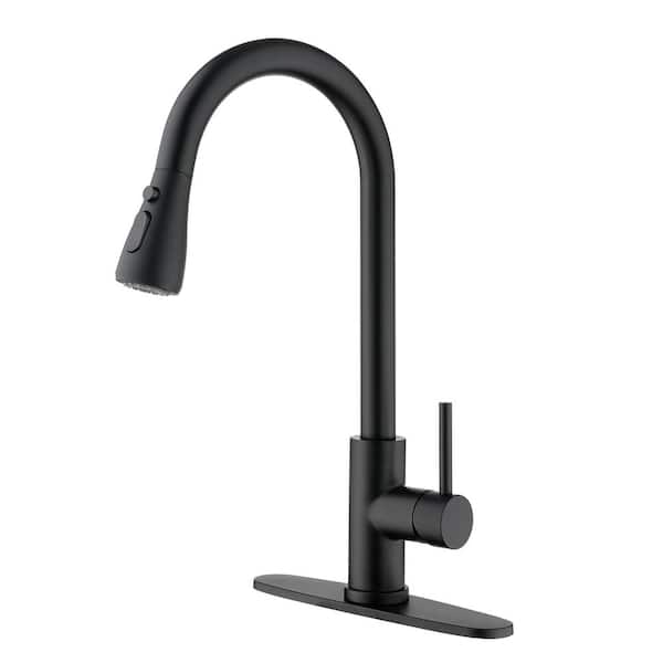 FLG Single Handle Pull Down Sprayer Kitchen Faucet with Pull Out Spray ...