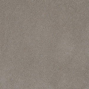 Home Decorators Collection 8 in. x 8 in. Texture Carpet Sample - First ...