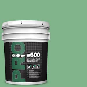 BEHR PRO 5 gal. #460D-5 Tree Fern Low Luster Exterior Paint PR62305 ...