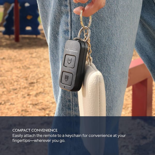 Chamberlain Universal 2-Button Garage Door Remote Control CHU62 - The ...