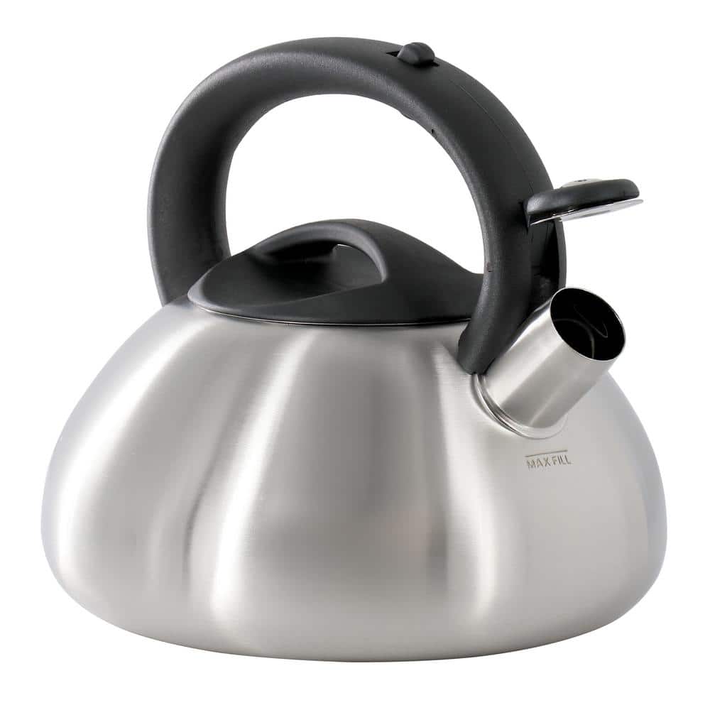 HOMETRENDS 1.9 Liter 8 Cup Stainless Steel Whistling Kettle with ...