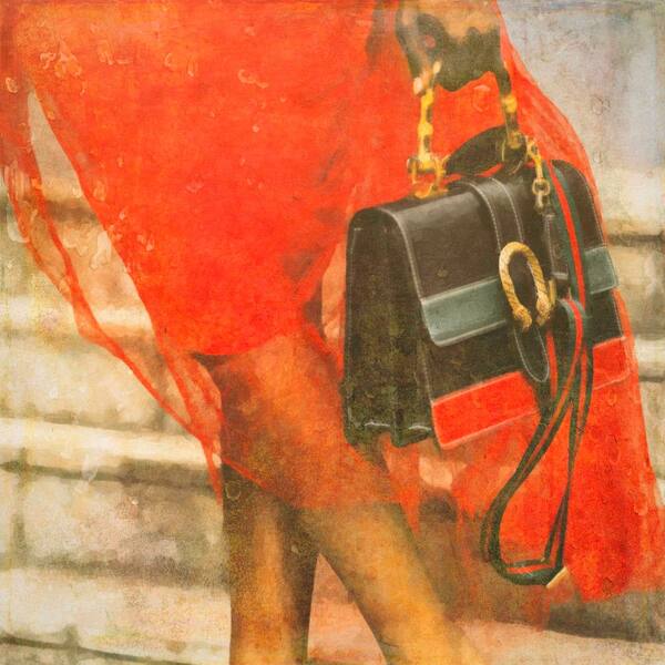 VENICE BEACH Collections City Stroll Gucci Style by Grotto Studios 1 ...