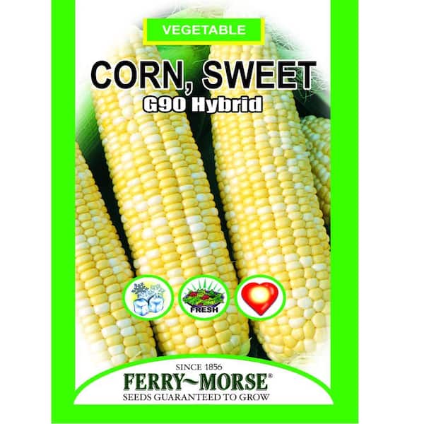 Ferry-Morse Corn Sweet G90 Seed 4175 - The Home Depot