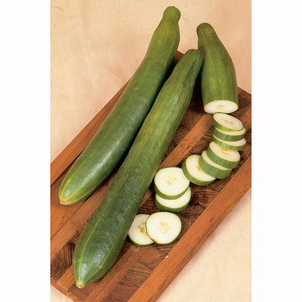 Bonnie Plants 19 oz. Japanese Cucumber Plant 4206