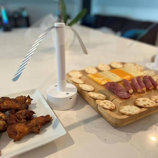 10 in. Personal Fly Fan in Black with RGB Light (2-Pack) FF01-BK - The ...