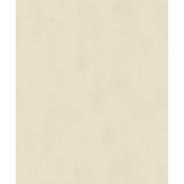 Terra Collection Off-White Textured Plaster Effect Matte Finish Clay ...