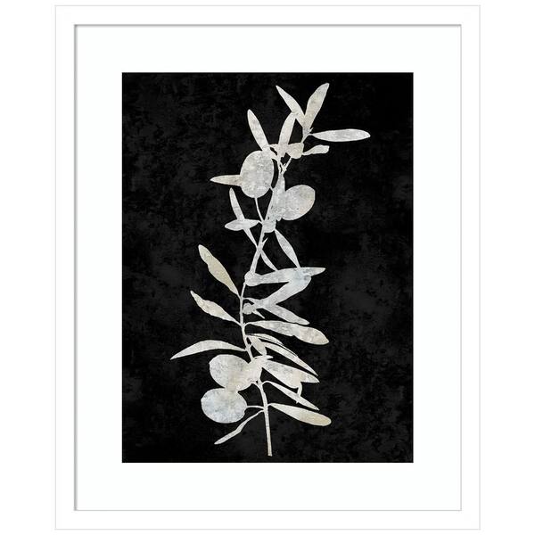 Amanti Art "Plant Life White on Black IV" by Danielle Carson 1 Piece ...