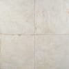 Ivy Hill Tile Mantis Ivory 23.62 in. x 23.62 in. Matte Porcelain Floor ...