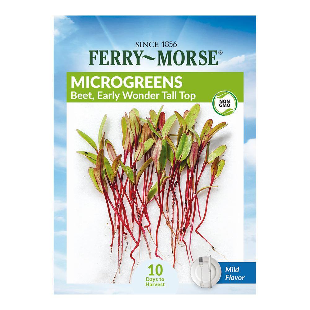 Ferry-Morse Beet Early Wonder Tall Top Micro-greens Vegetable Seeds ...