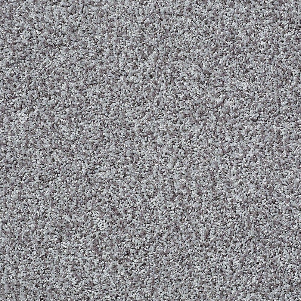 TrafficMaster 8 in. x 8 in. Texture Carpet Sample - Dreamcatcher ...