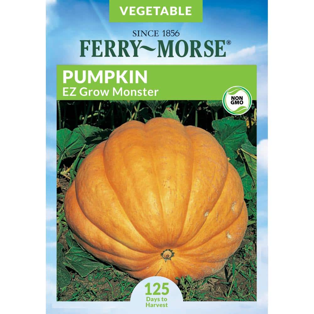 Ferry-Morse Pumpkin EZ Grow Monster Giant Fruit Seed 4097 - The Home Depot