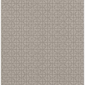 Shaw 8 in. x 8 in. Pattern Carpet Sample - Claymore - Color Studio SH ...