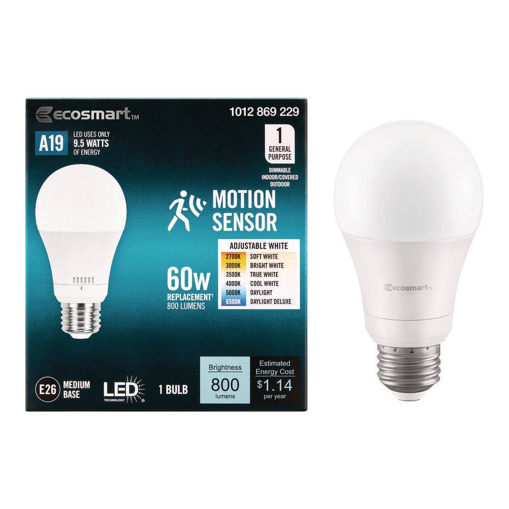 EcoSmart 60-Watt Equivalent A19 Dimmable Motion Sensor LED Light Bulb ...