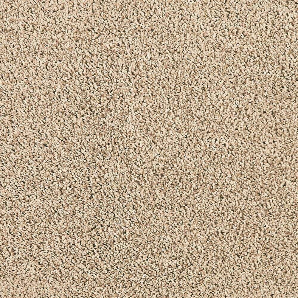 Reviews for TrafficMaster Whisk and Whimsy II-New Wheat-Beige 34 oz ...