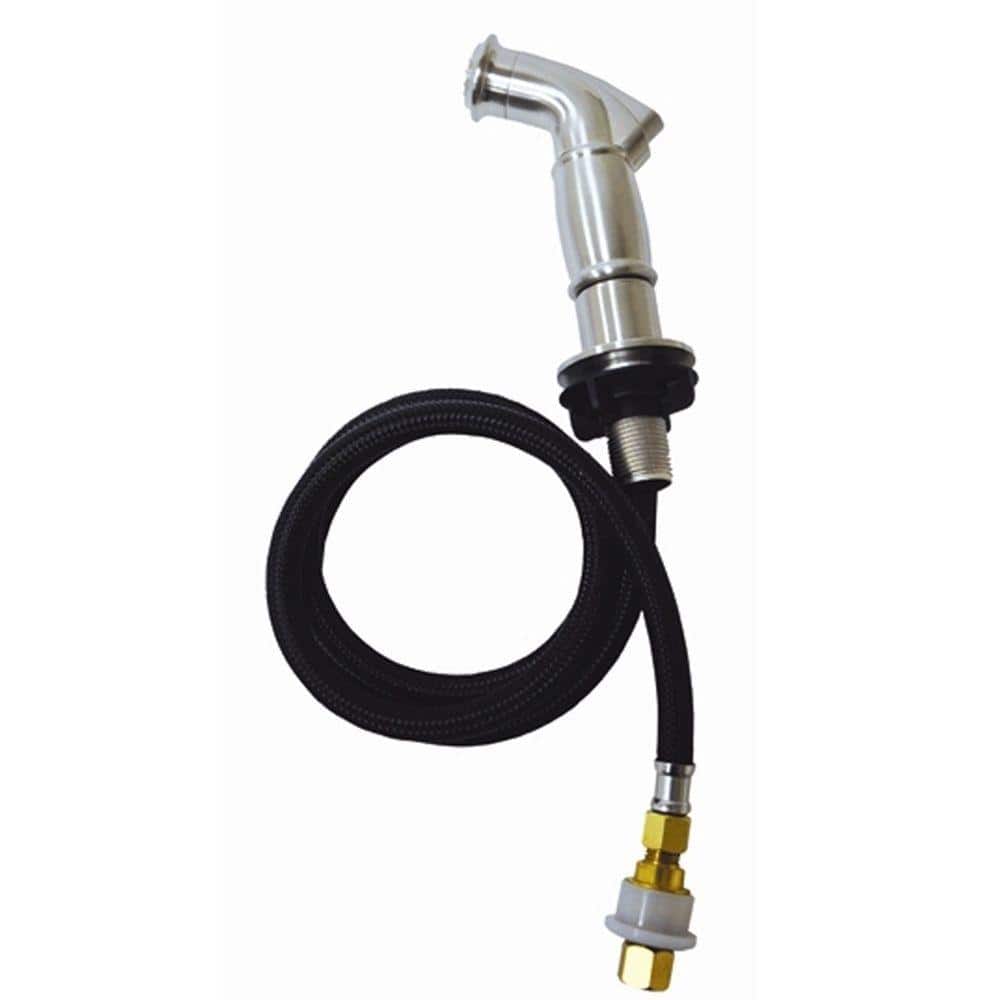 DANCO Decorative Side-Spray and Hose in Chrome 89215 - The Home Depot