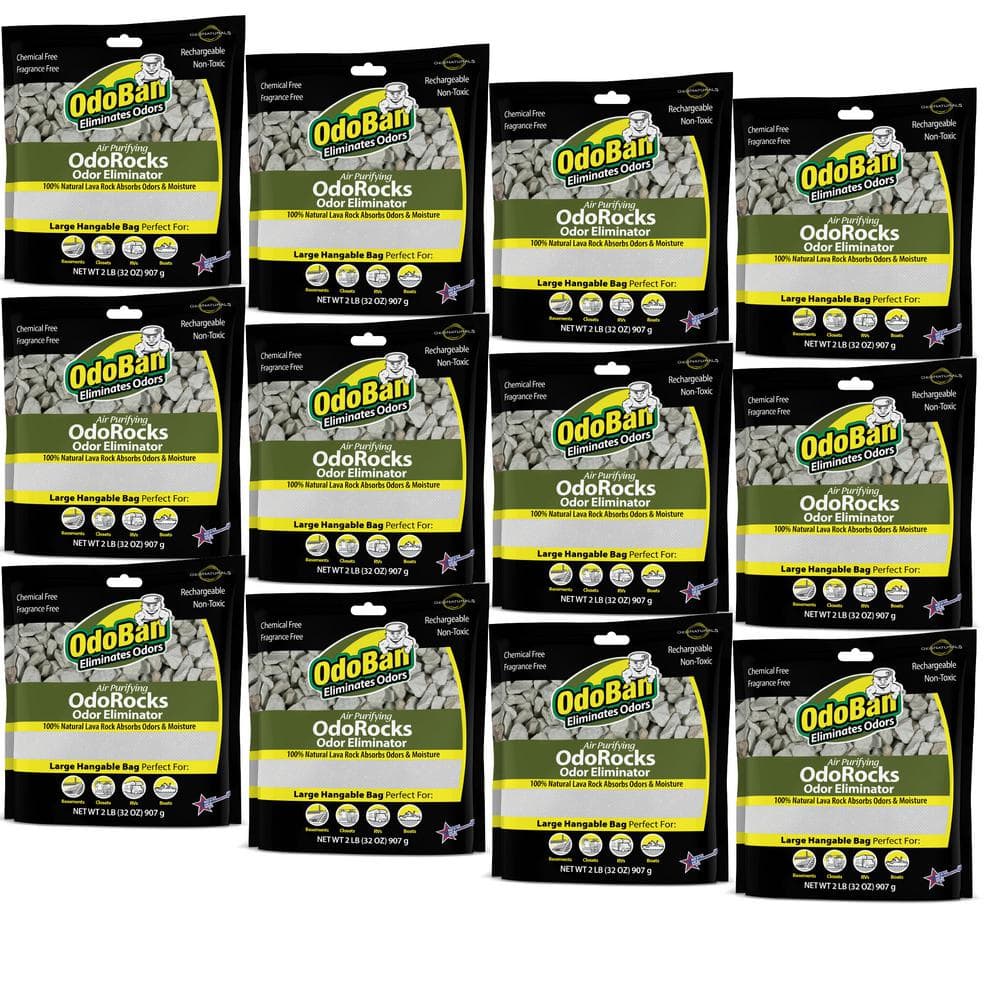 OdoBan 32 oz. OdoRocks Natural Volcanic Rock Odor Eliminator, Unscented ...