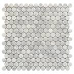 Roca Rockart Carrara Marble 12 in. x 12 in. Penny Round Natural Stone ...