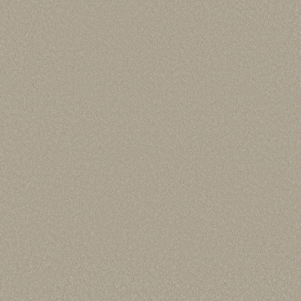 Lifeproof Park Royal II Natural Beige 52 oz. Nylon Texture Carpet ...