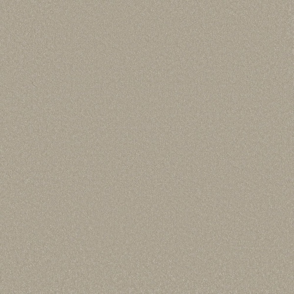 Lifeproof Park Royal II Natural Beige 52 oz. Nylon Texture Carpet ...