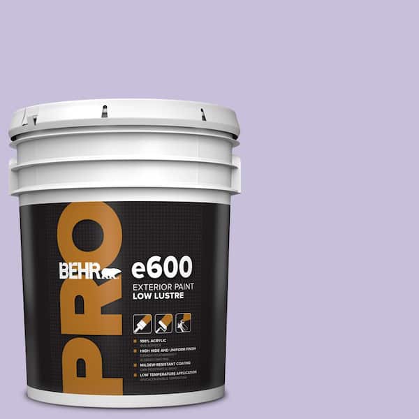 BEHR PRO 5 gal. #640B-4 Innuendo Low Luster Exterior Paint PR62005 ...