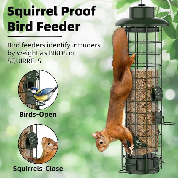 Squirrel proof bird feeder store