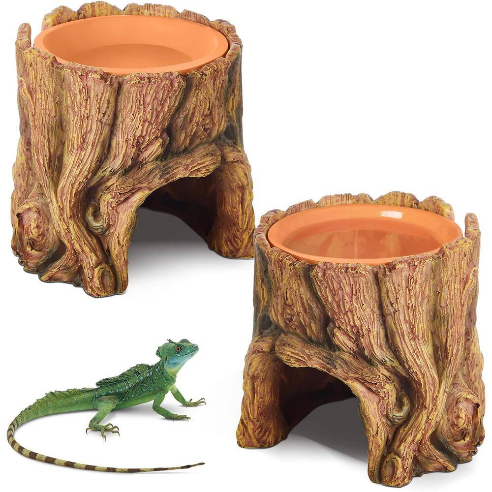 pet tree frog enclosure