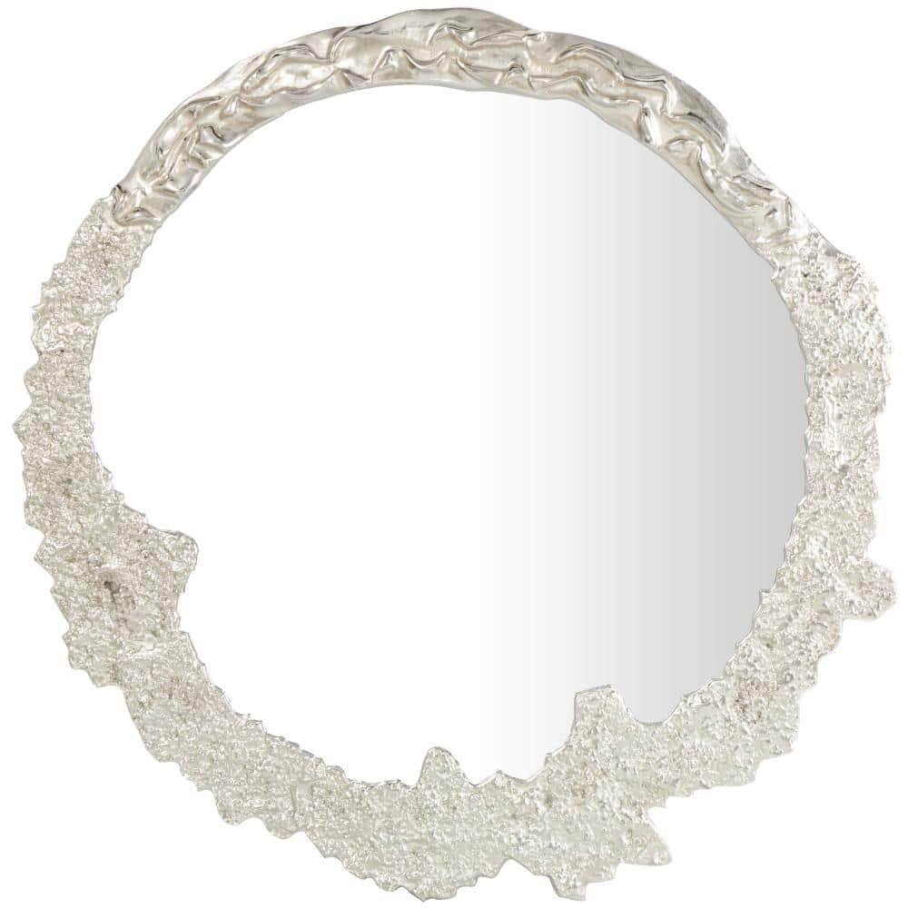 Litton Lane 35 in. W x 35 in. H Round Frameless Silver Wall Mirror with ...