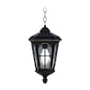 KODA Bentham 17 in. 1-Light Black LED Outdoor Hanging Pendant Light ...