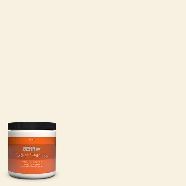 BEHR PREMIUM PLUS 8 oz. #GR-W14 Coconut Twist Flat Interior/Exterior ...