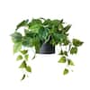 FOREVER LEAF Pothos Small Fake Plants Indoor Fake Plants Decor in Black ...