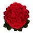 Globalrose 50 Red Roses- Fresh Flower Delivery 50-birthday-red-roses ...