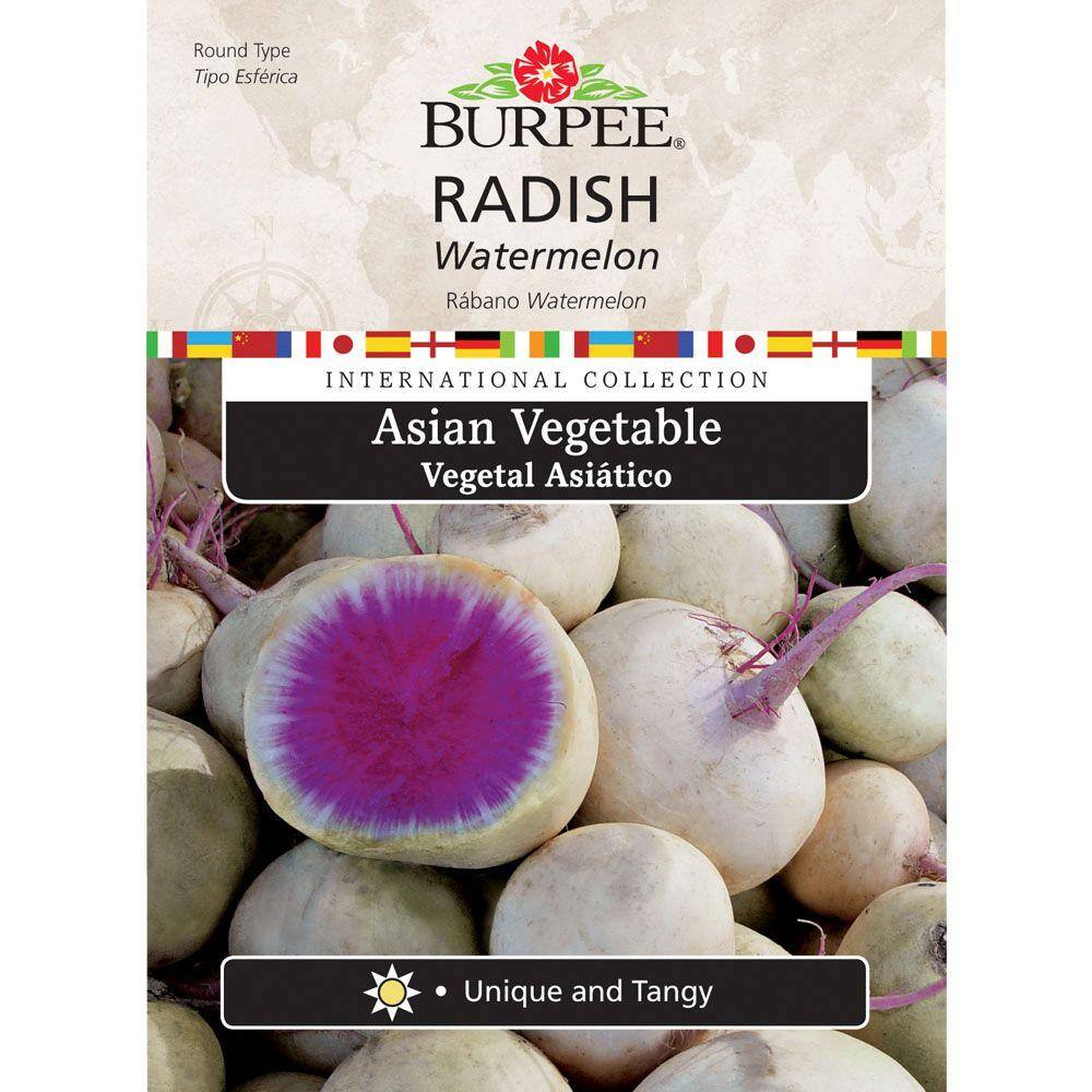 Burpee International Collection Asian Radish Watermelon Seed 69646 ...