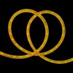 Northlight 18 ft. Warm White LED Indoor/Outdoor Christmas Rope Lights ...