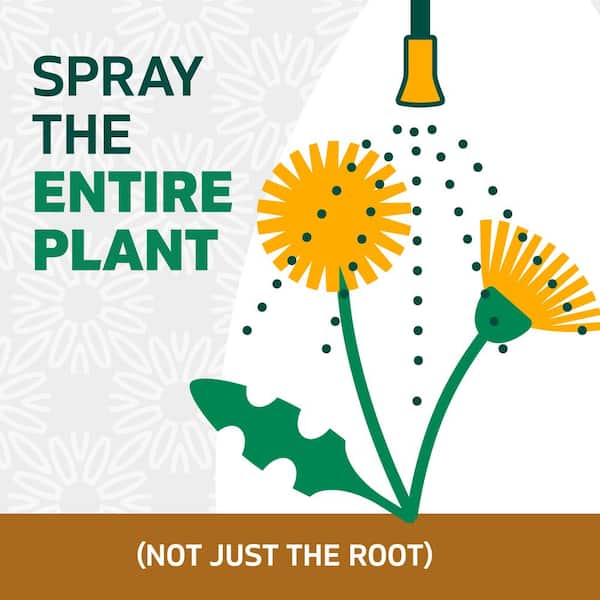 Spruce 64 oz. Snap and Spray Weed and Grass Killer Powered Trigger ...