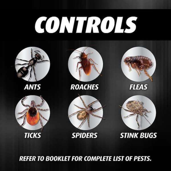 Ortho Orthene Ant and Roach Killer 1 lb. Indoor and Outdoor Insect ...
