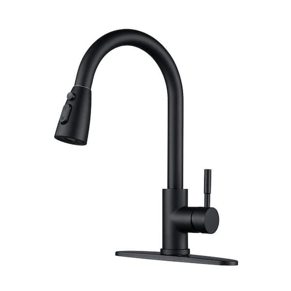 ALEASHA 15.6 in. Single Handle Pull Down Kitchen Faucet with 18 in ...