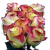 Globalrose 50 Stems of Deep Yellow with Red Hot Merengue Roses- Fresh ...