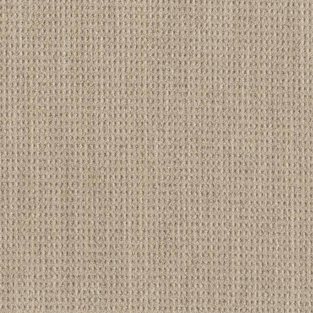 Lifeproof 8 in. x 8 in. Pattern Carpet Sample - Sicily - Color Feather ...