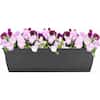 Cubilan 30 in. Window Planter Indoor Outdoor Rectangular Plastic Plant ...